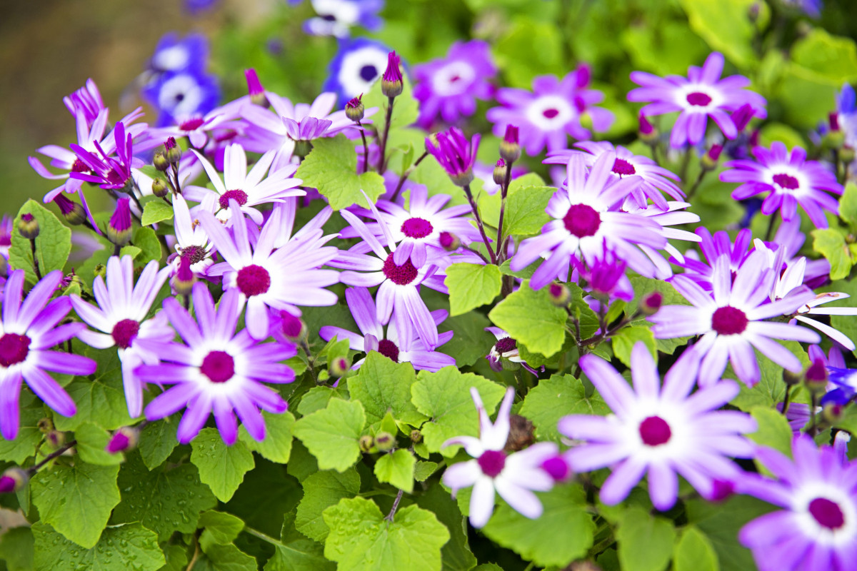 Parks - Discover Woodway